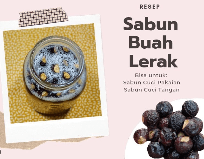 Lerak Batik: Bahan Alami untuk Pewarna Batik yang Ramah Lingkungan ...